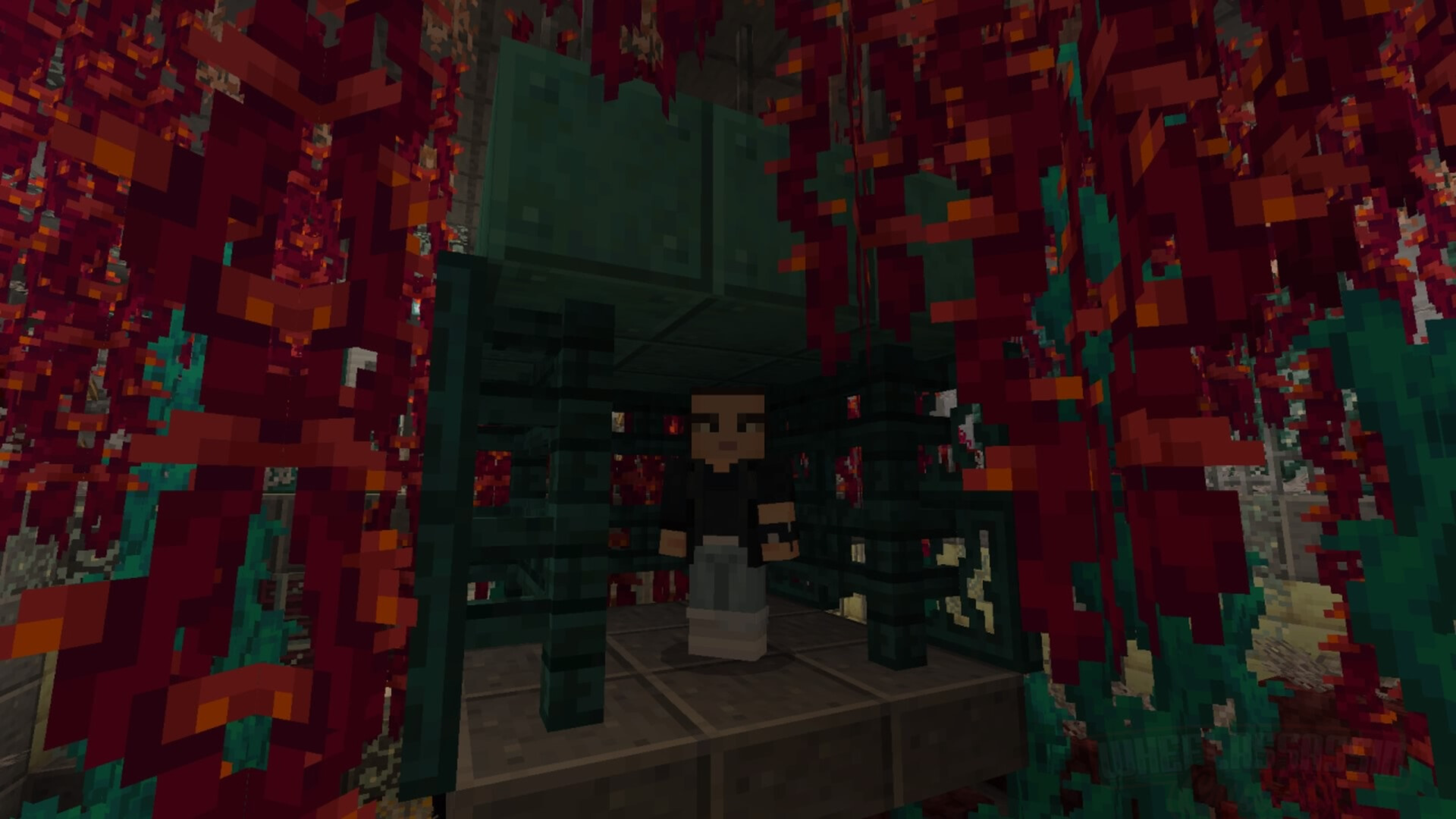 'The Gate' from Stranger Things!! Minecraft Map