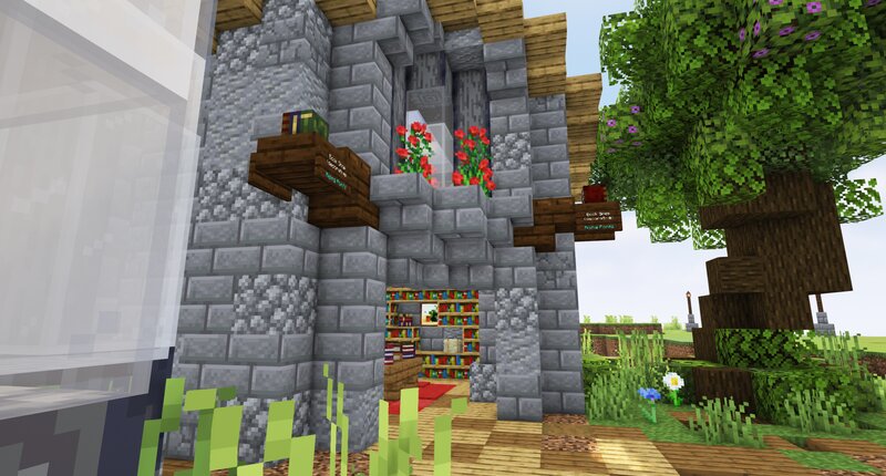 Book Store Minecraft Map