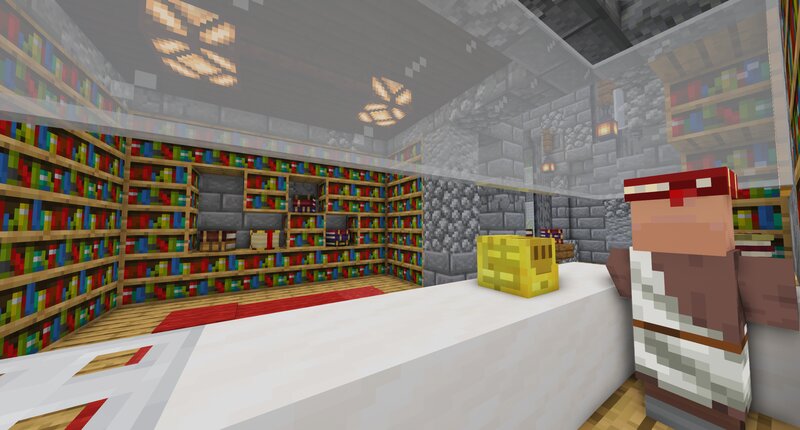 Book Store Minecraft Map