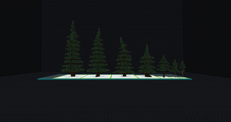 7 spruce trees bundle Minecraft Map