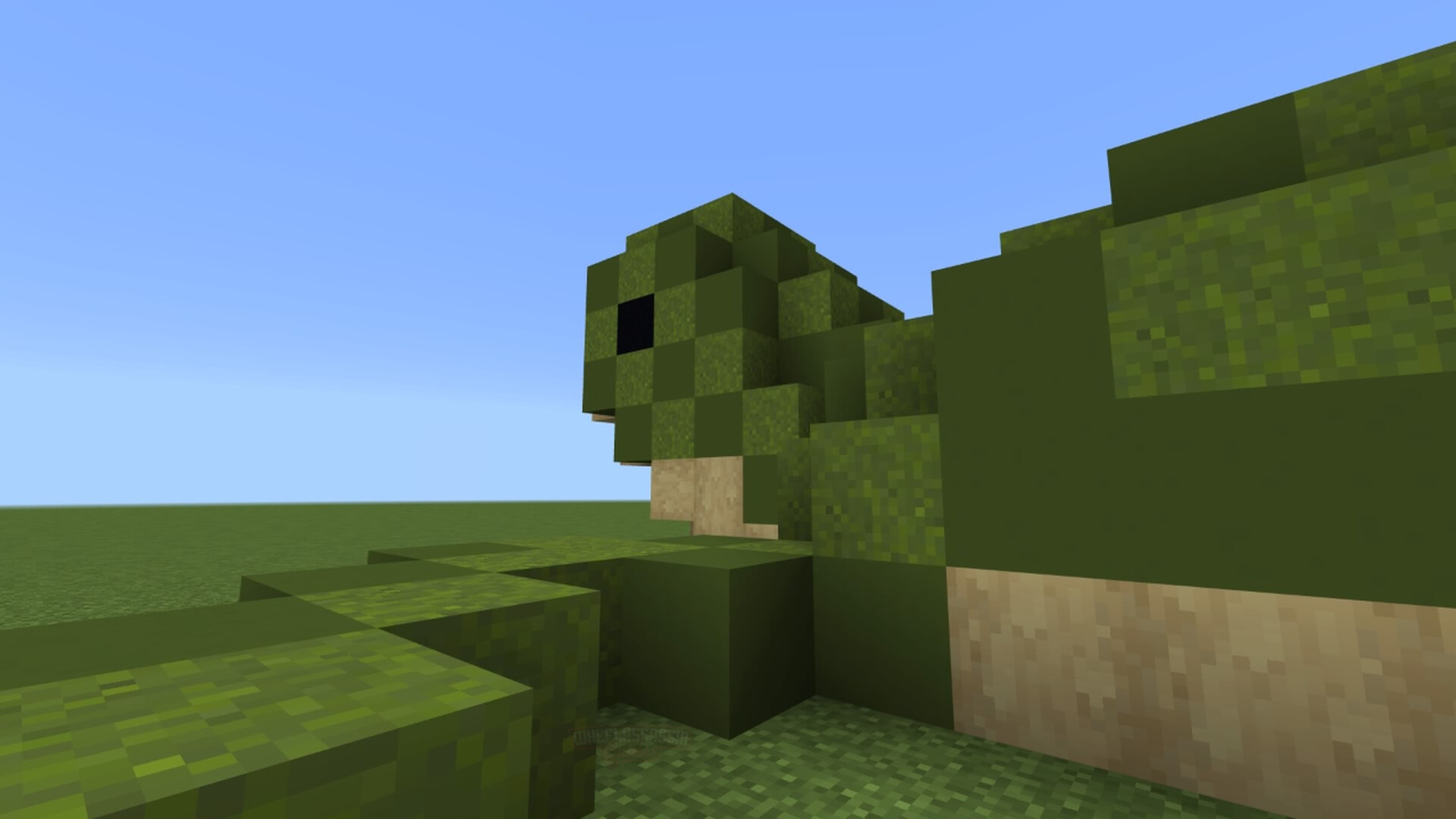 A Turtle!! Minecraft Map