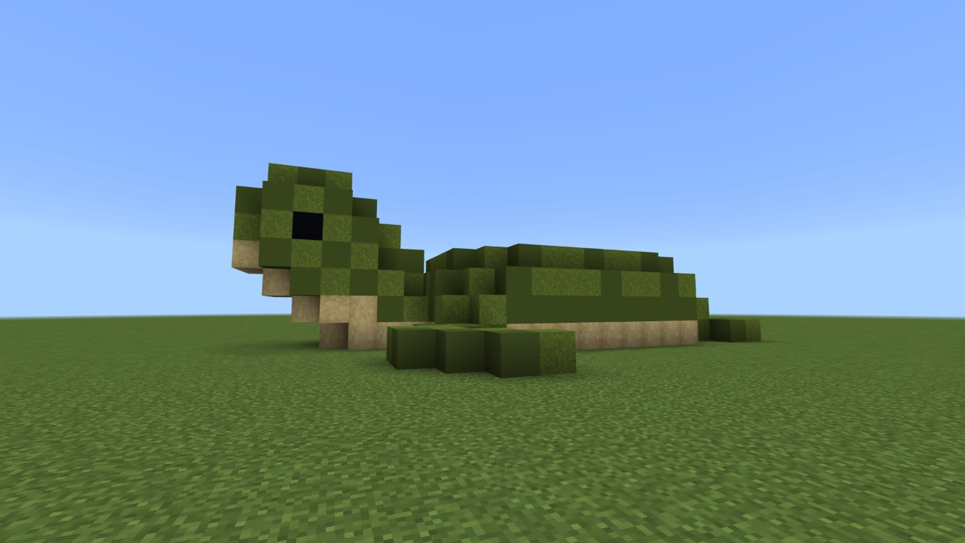 A Turtle!! Minecraft Map