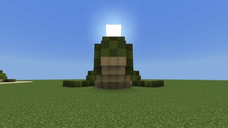 A Turtle!! Minecraft Map