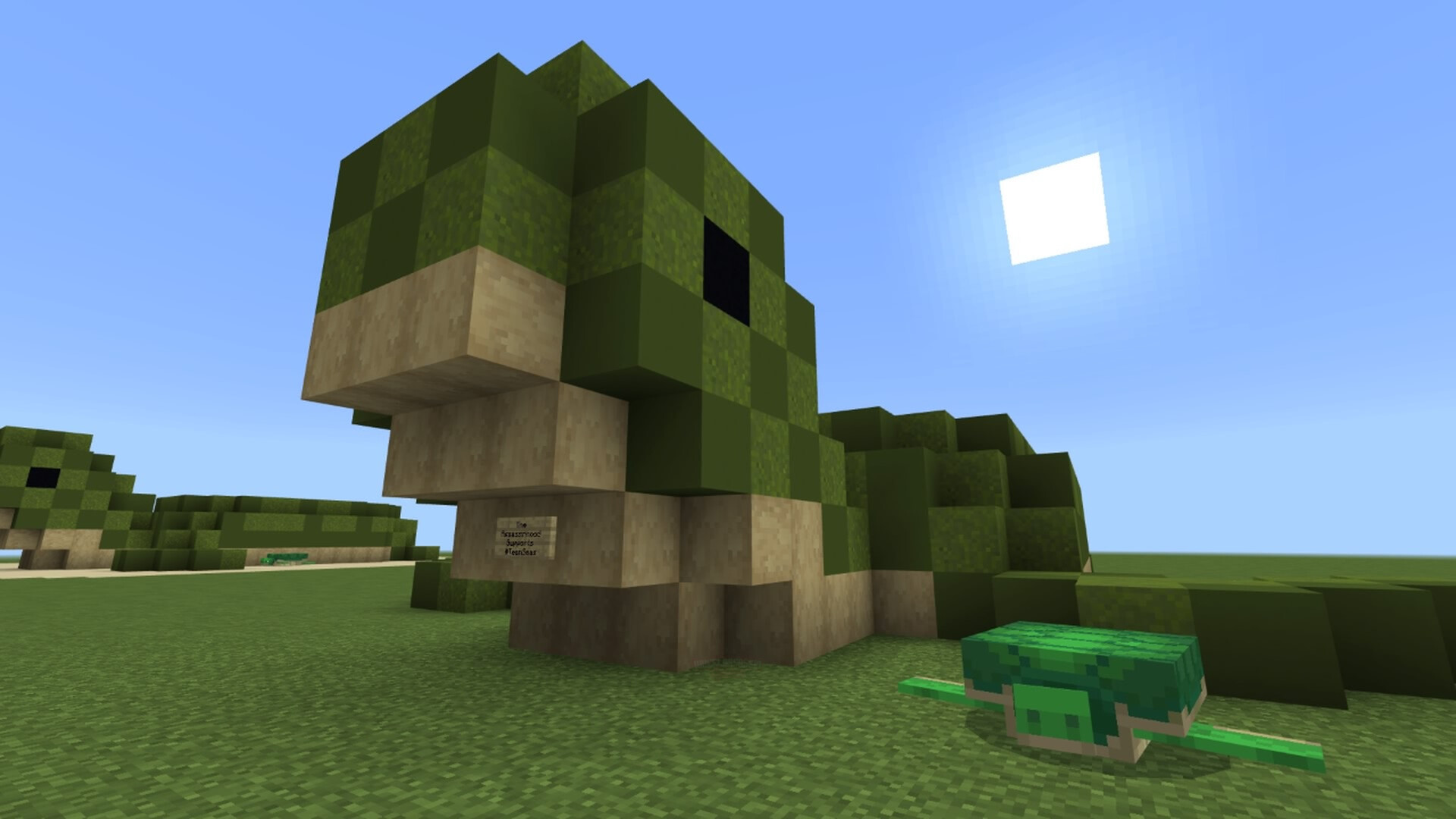 A Turtle!! Minecraft Map