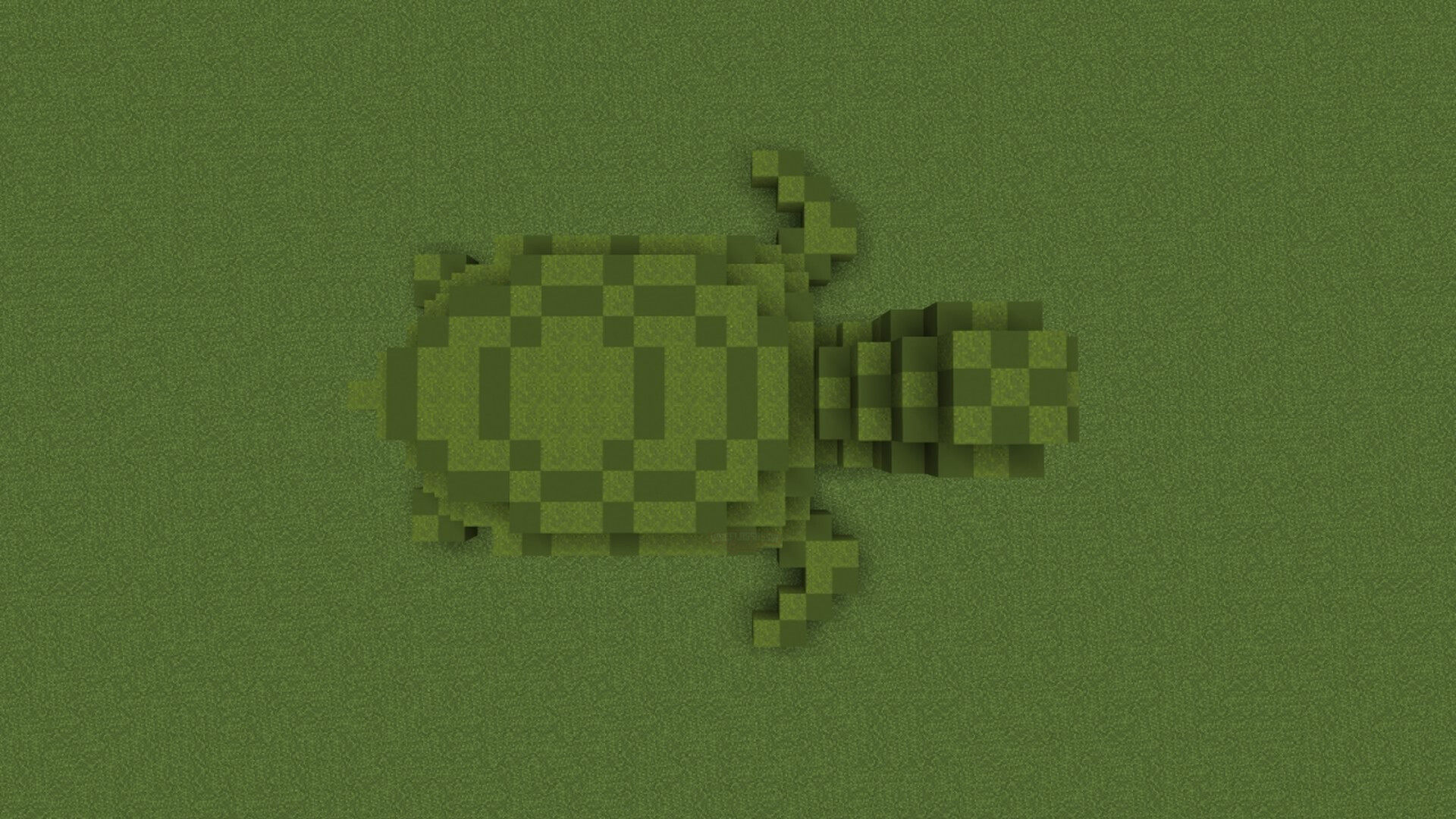 A Turtle!! Minecraft Map