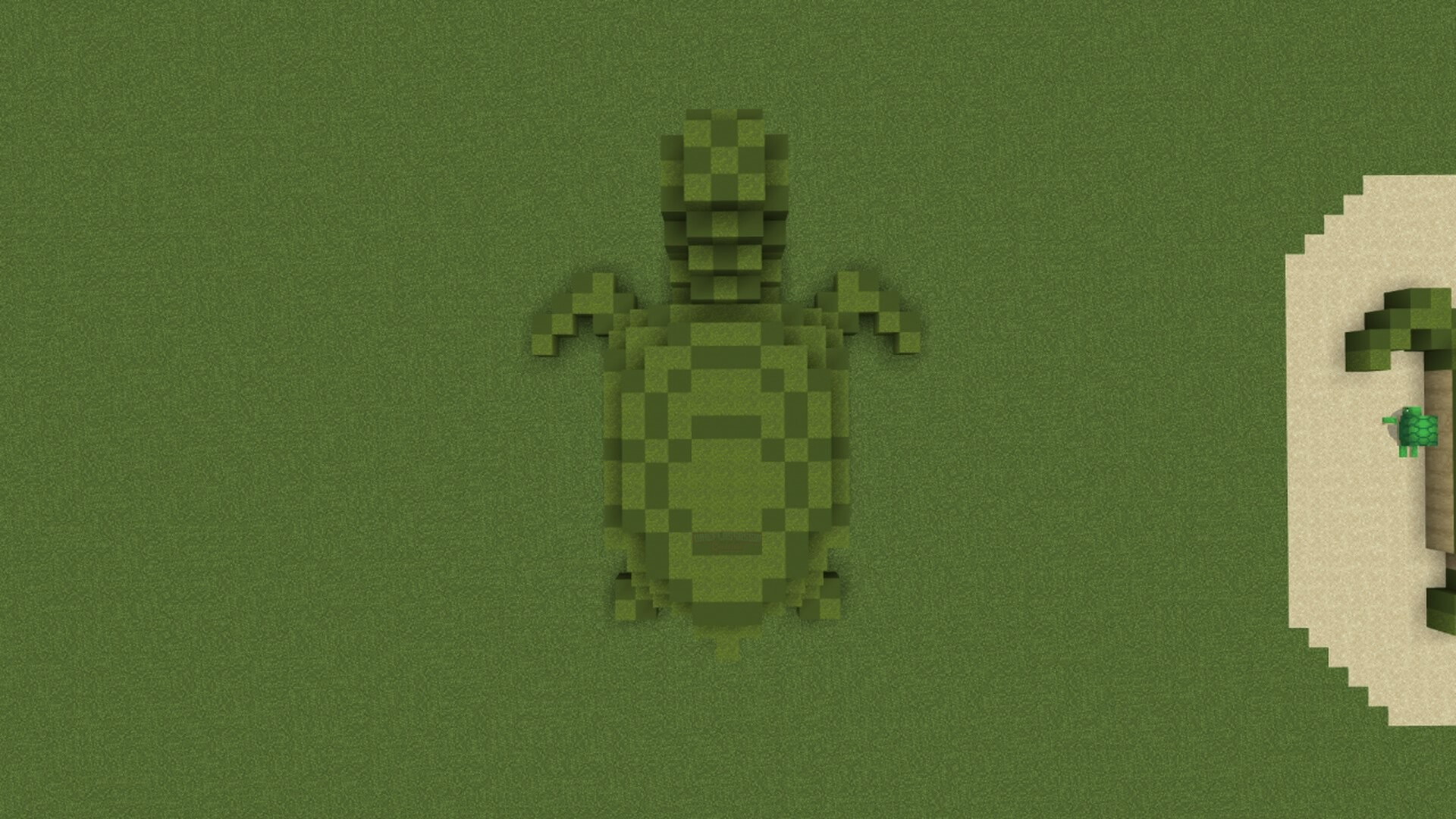 A Turtle!! Minecraft Map