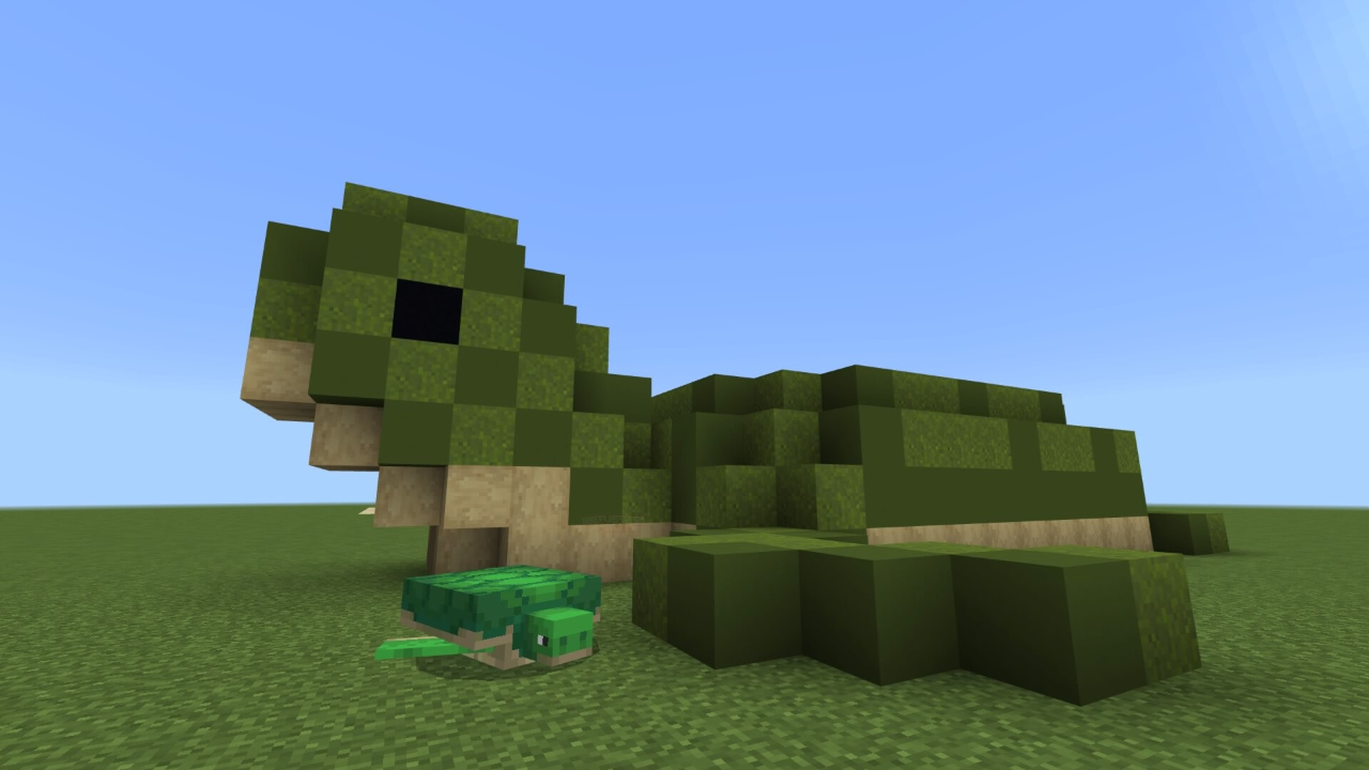 A Turtle!! Minecraft Map
