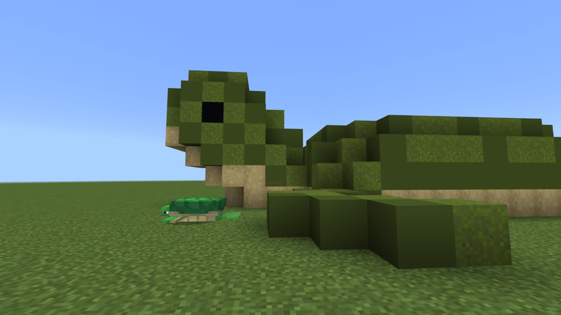 A Turtle!! Minecraft Map