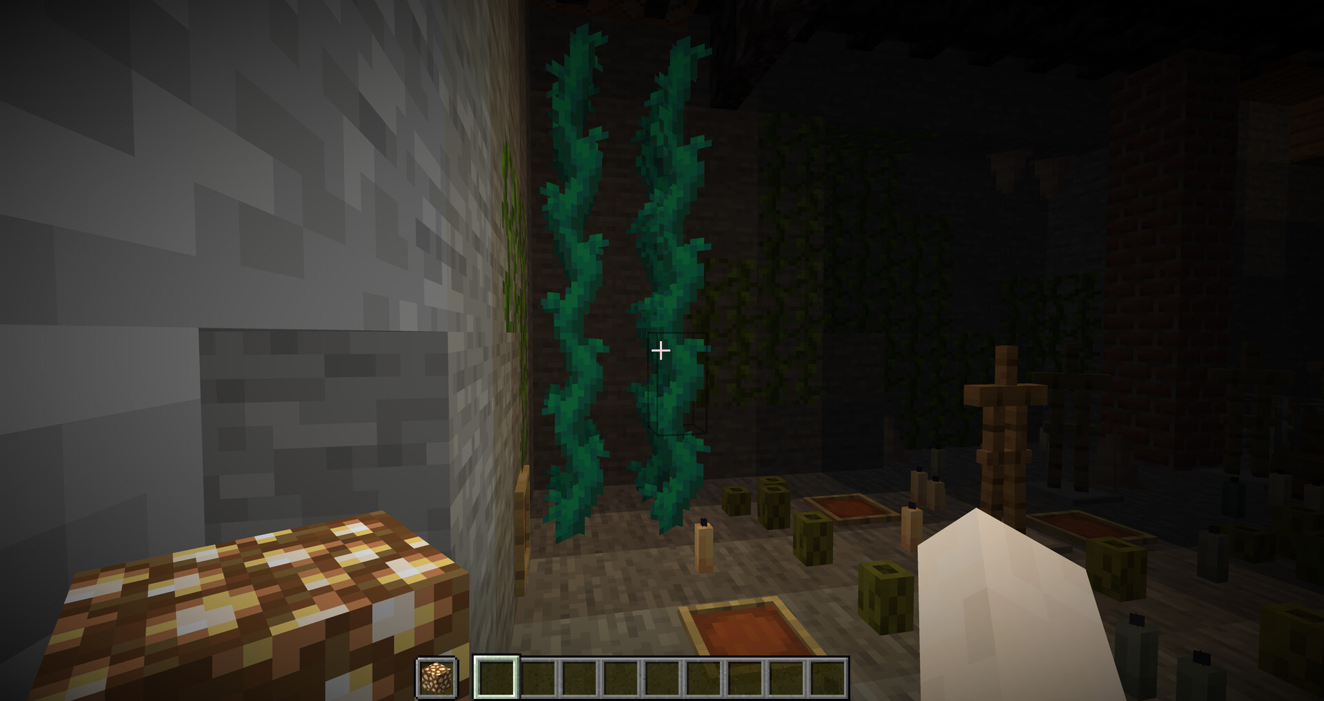 Monster house Minecraft Map