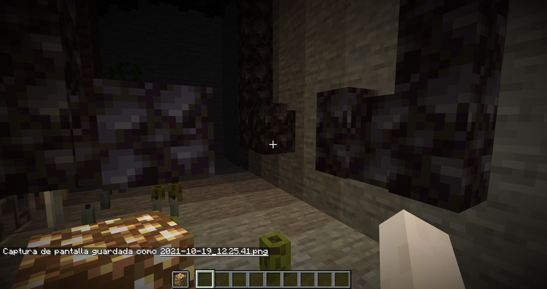 Monster house Minecraft Map