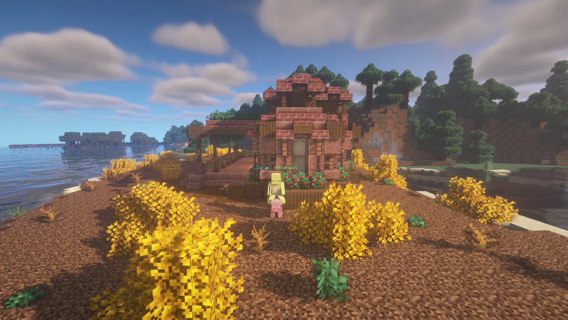 Epic Small House Minecraft Map