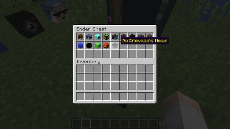 Head World Minecraft Map