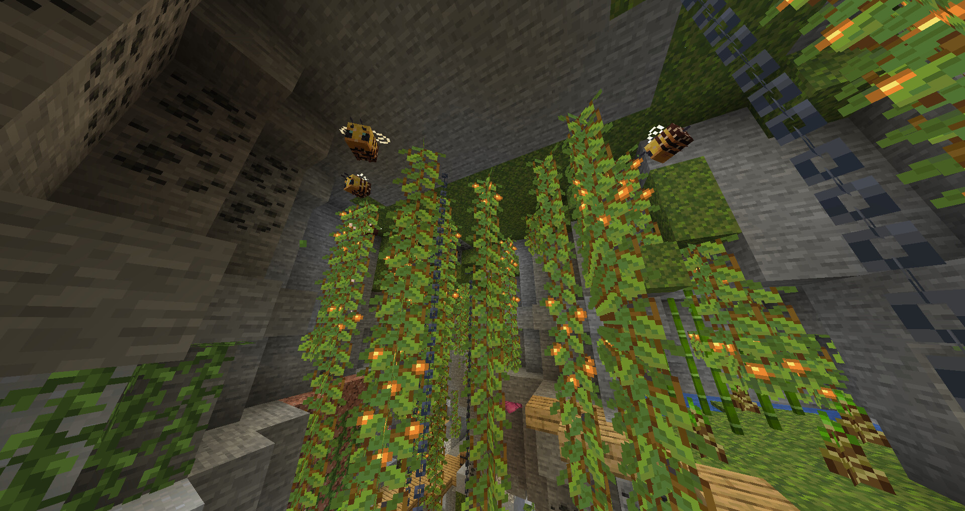 underground town Minecraft Map