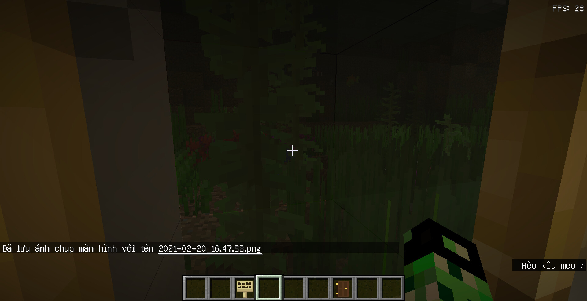 This is my first map ( House in swamp or you can called it Swamp house ...