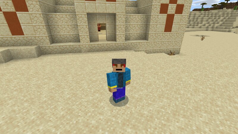 Retrieve the artifact Minecraft Map