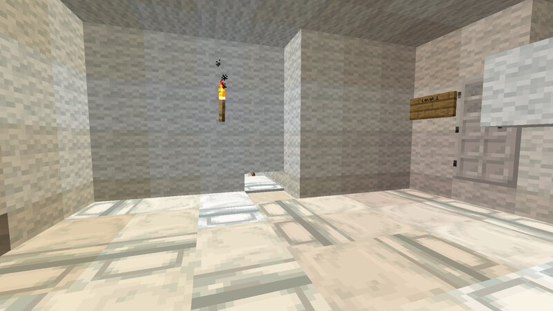 The Asylum Escape room Minecraft Map