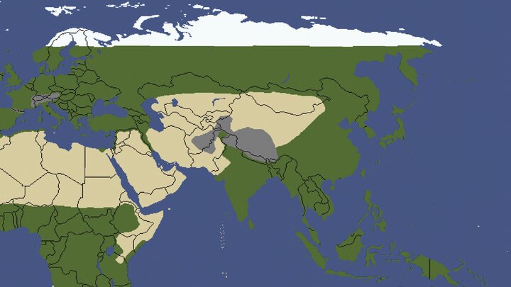 The World Minecraft Map
