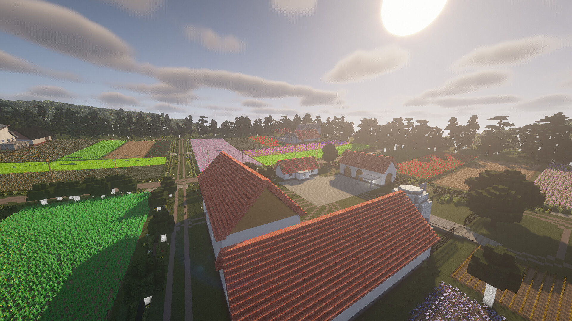 Poland Village Kózki 1.12.2 with mods DOWNLOAD Minecraft Map