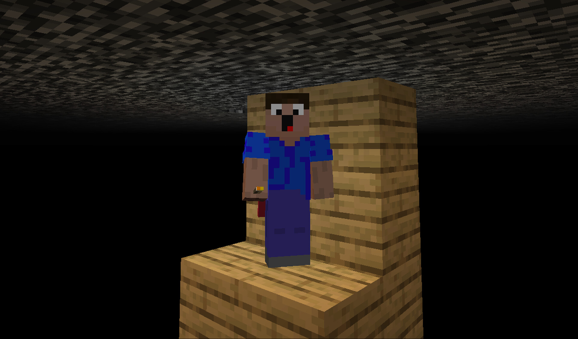 Pushable Blocks, Ghost Blocks And Void Blocks Minecraft Map