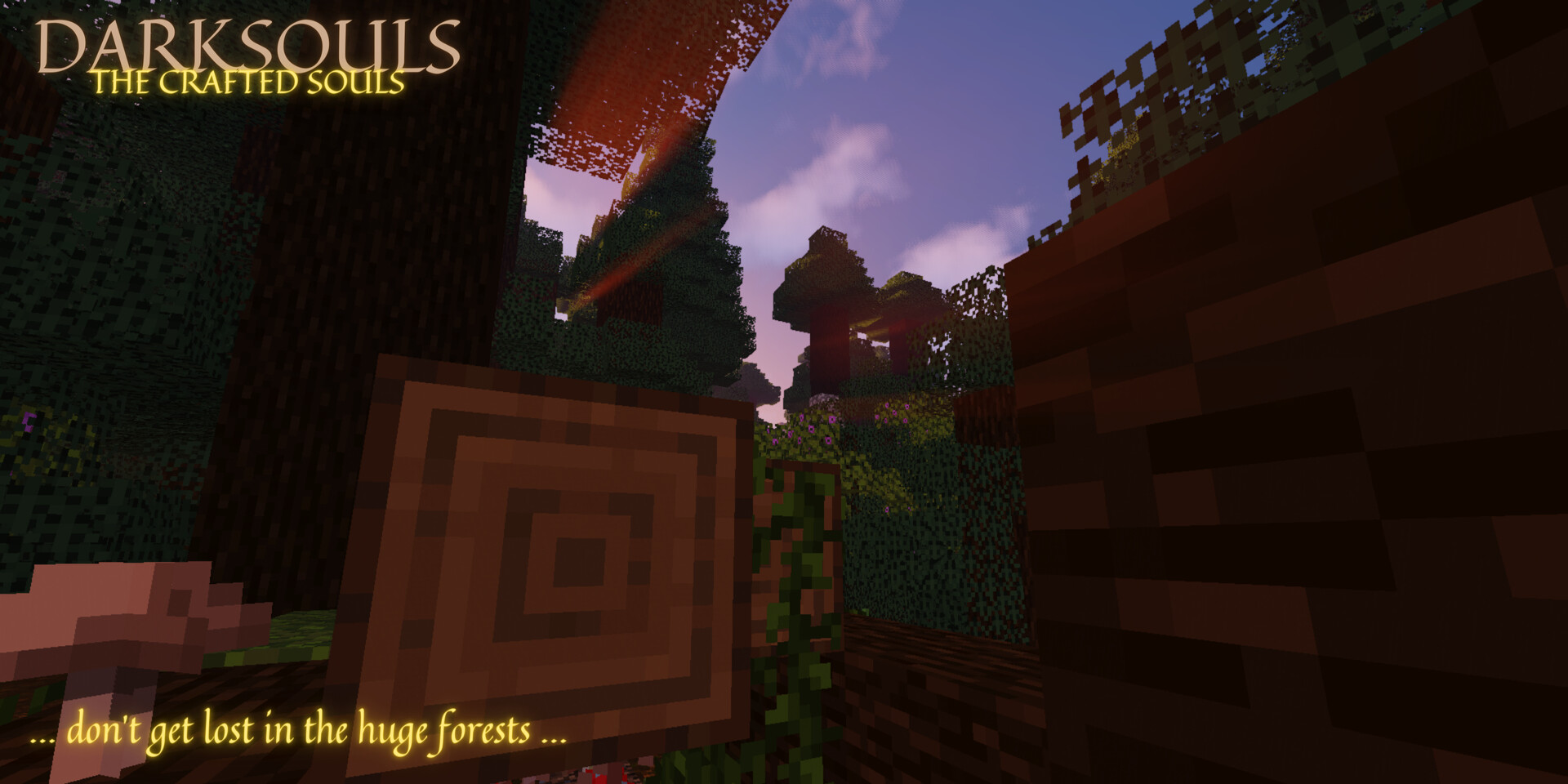 Darksouls - The crafted Souls Minecraft Map