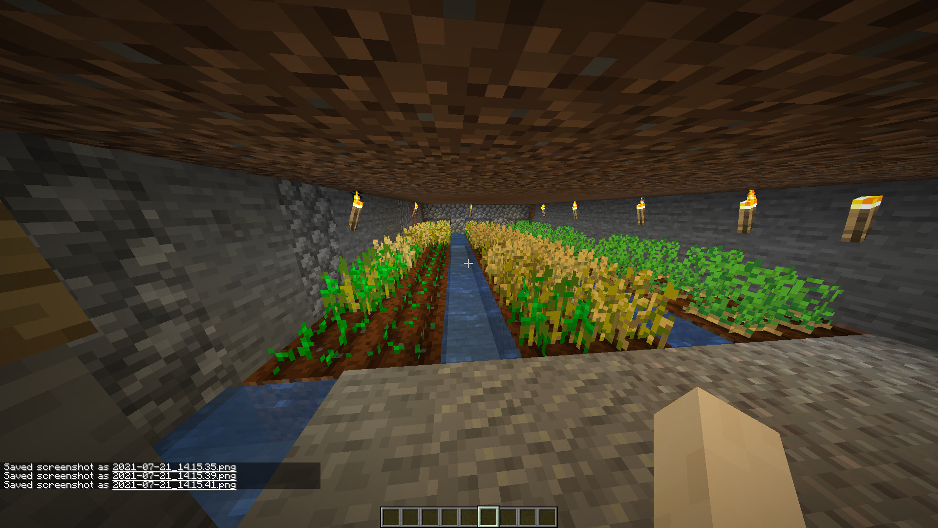 Hardcore world Minecraft Map