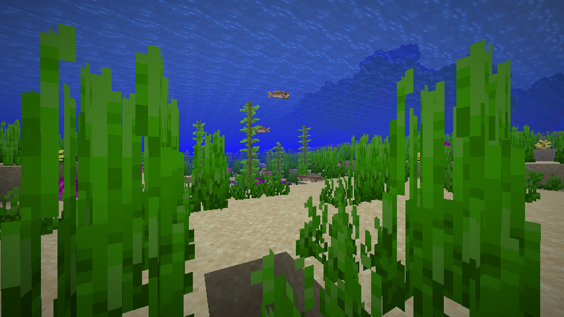 Eternal Beach, 768x768 Beach Map Minecraft Map