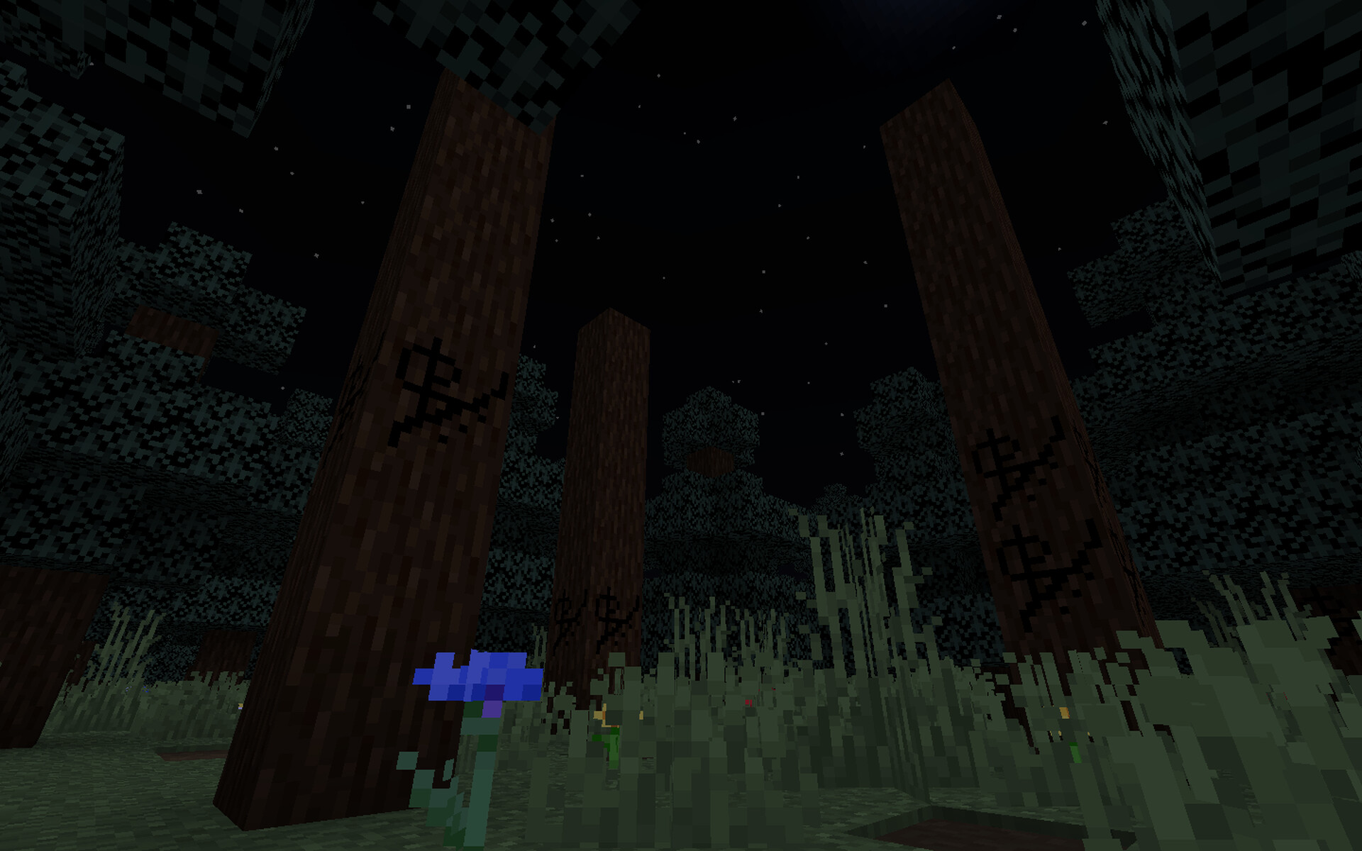 The Witch Minecraft Map