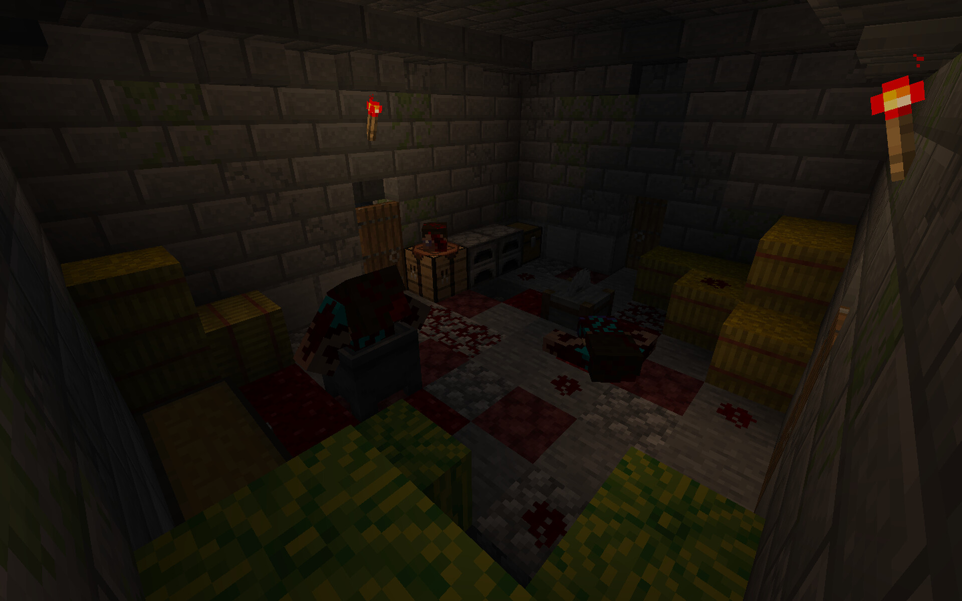 The Witch Minecraft Map