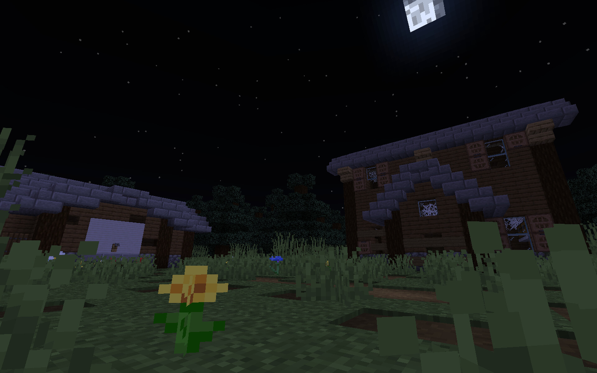 The Witch Minecraft Map