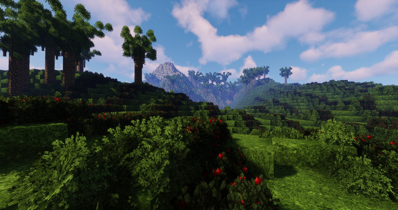 Palmidic Perfection Minecraft Map