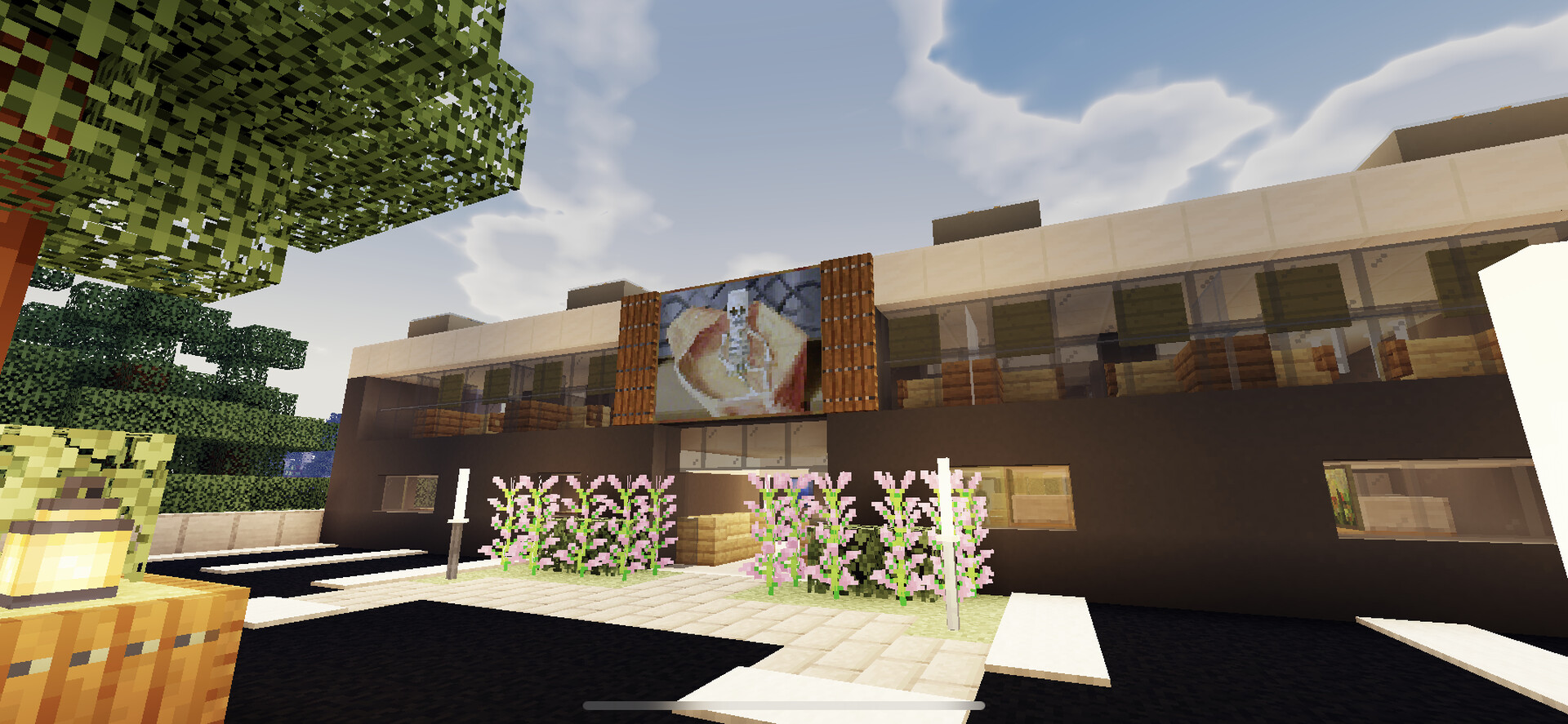 Noom City Minecraft Map