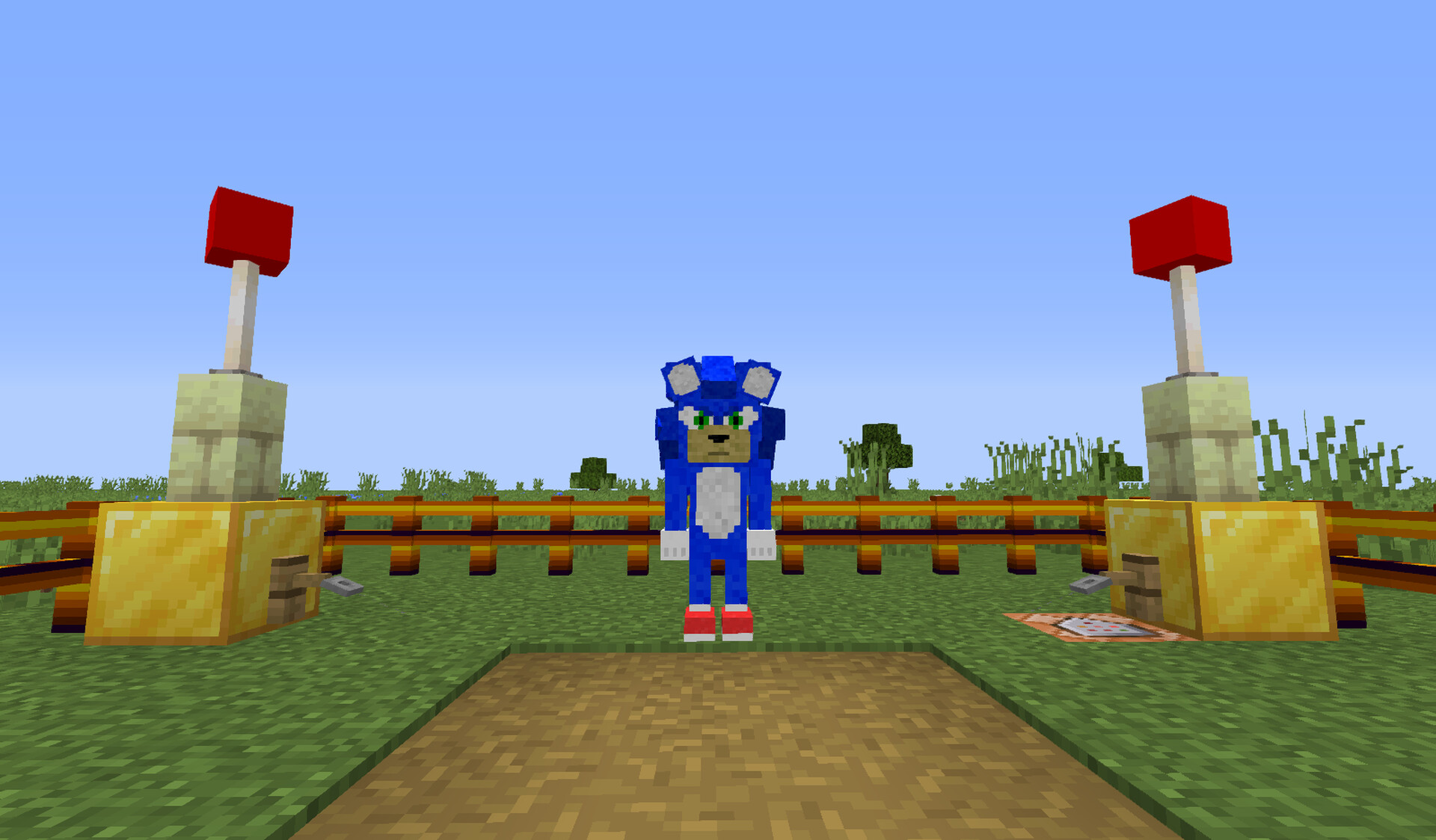 THE SERVER PROJECT ! (read desc) Minecraft Map