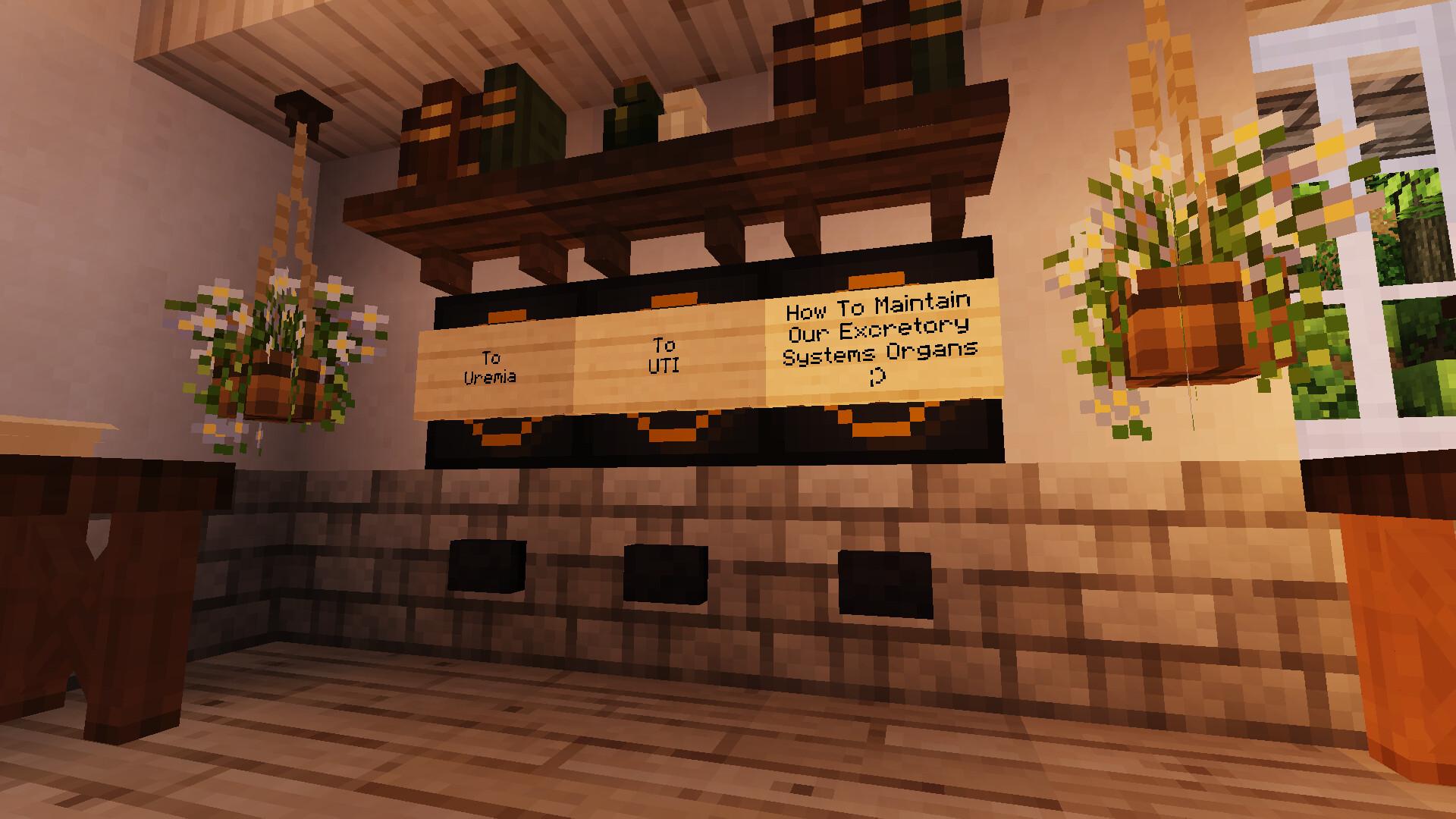 The Excretory Systems Disorders and How We Can Maintain It Minecraft Map