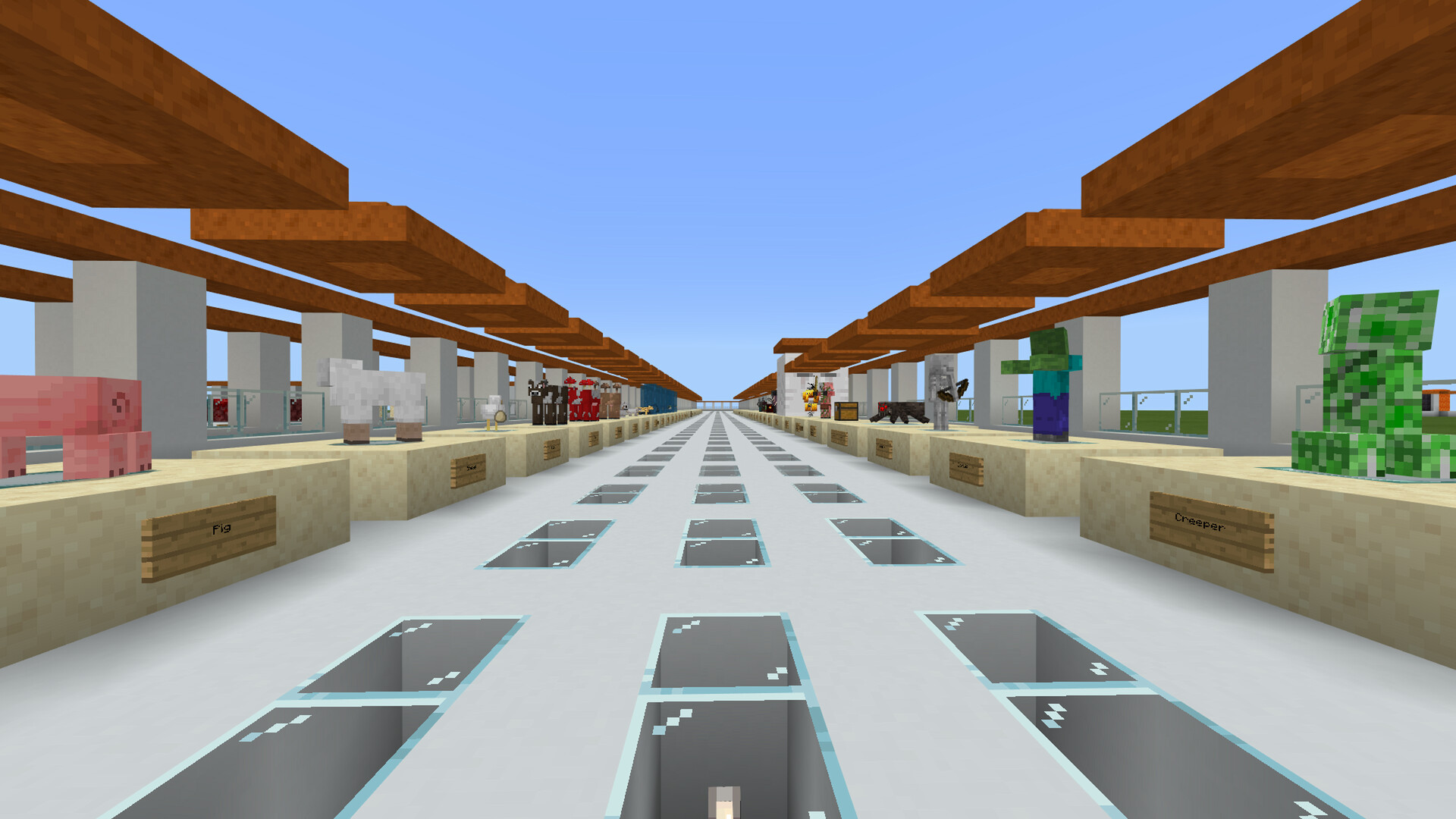 Texture Pack Tester Minecraft Map