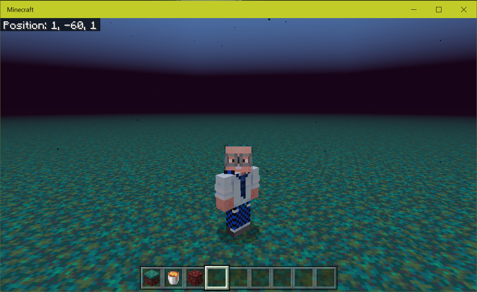 Custom NetherFlat World Minecraft Map