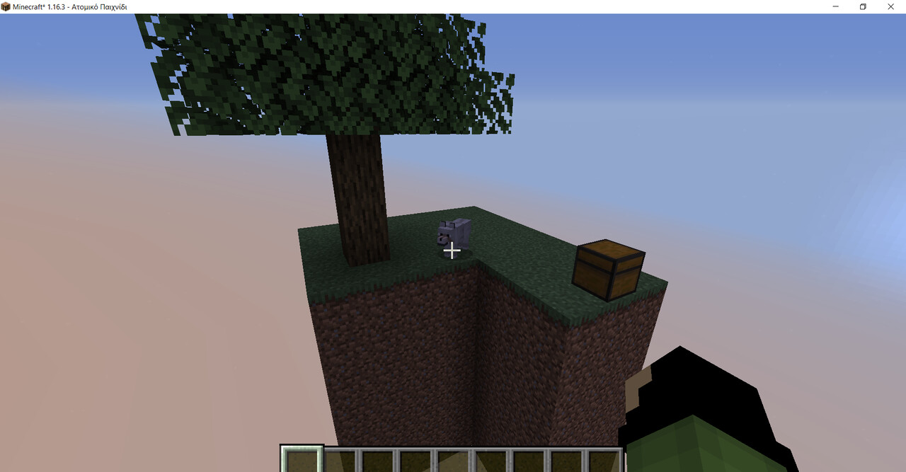 Classic SkyBlock experience! Minecraft Map