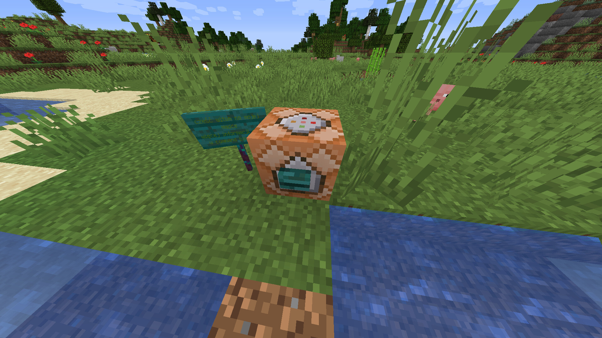 every block in minecraft pl (wszystkie bloki w minecraft pl) Minecraft Map