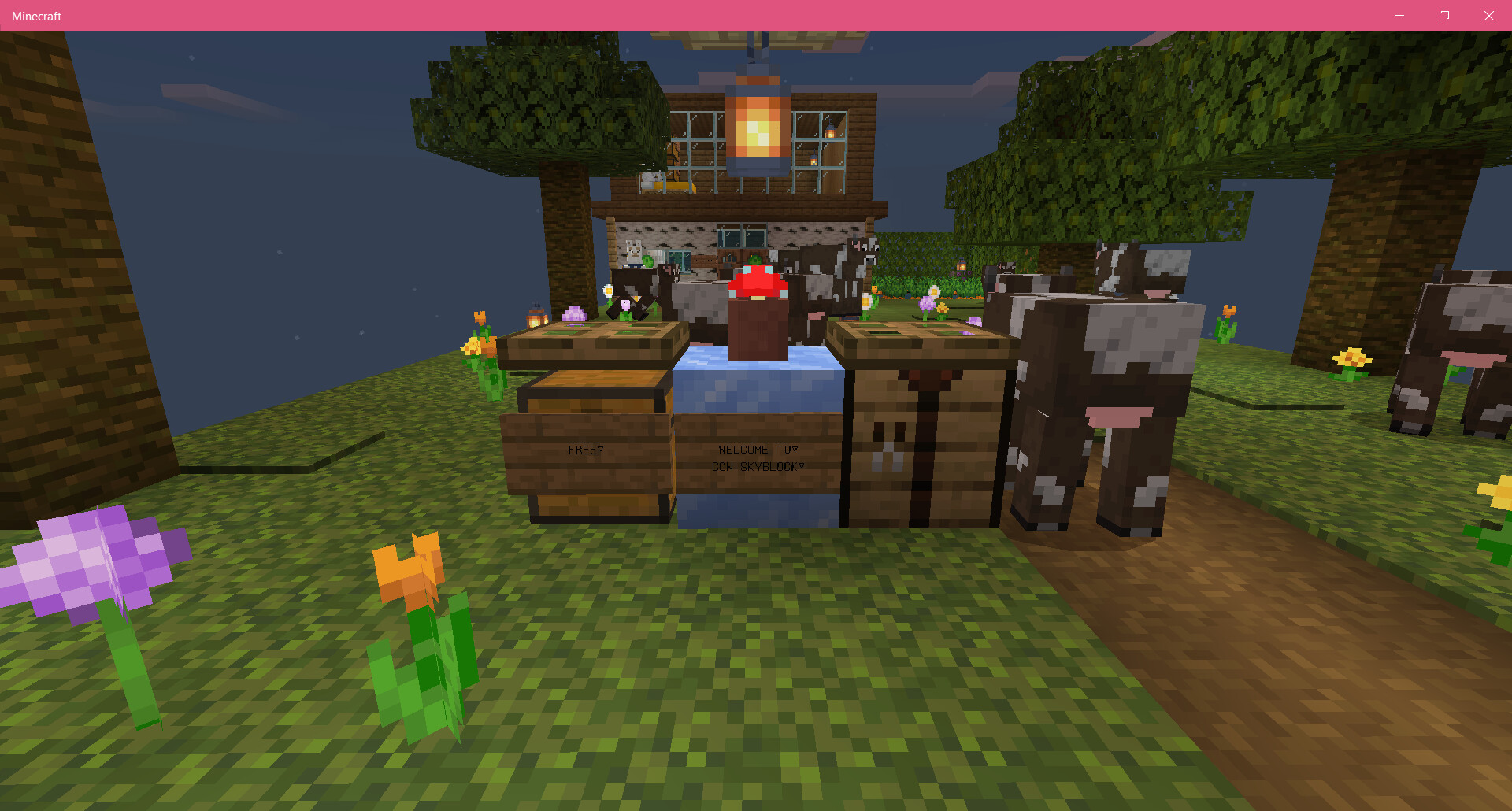 Cow Town Skyblock Minecraft Map