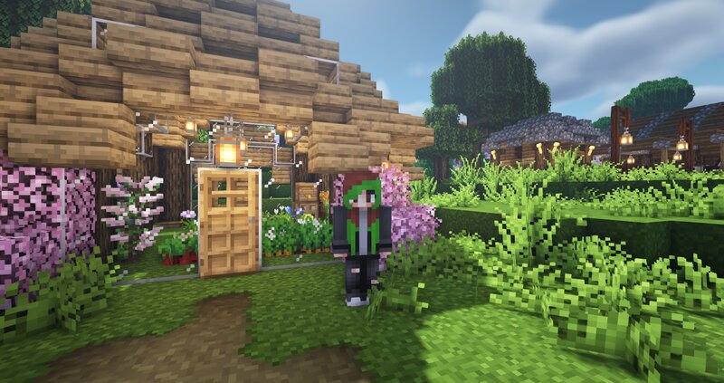 Save The Bees House Minecraft Map