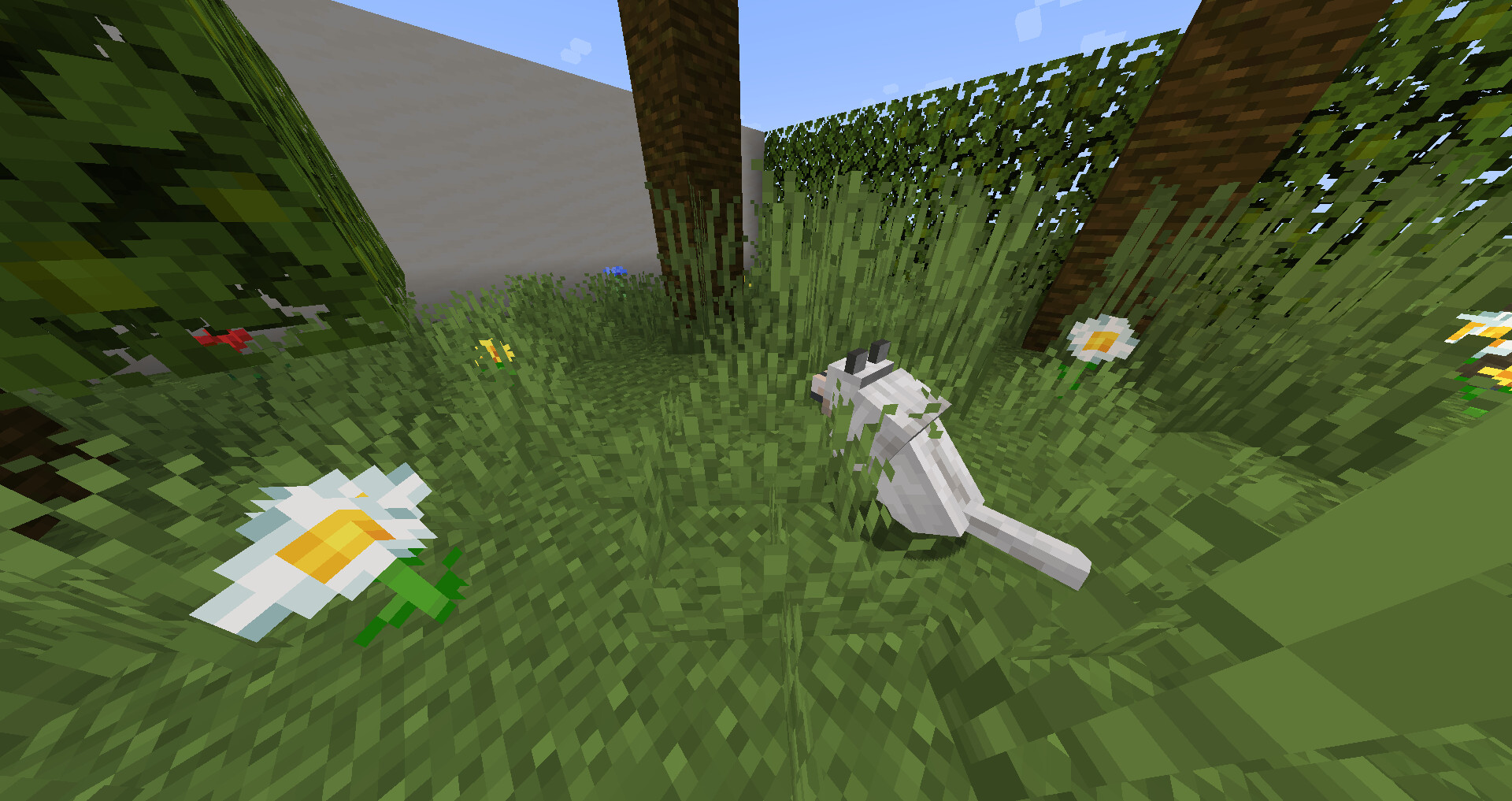 Grace's World House Map Minecraft Map