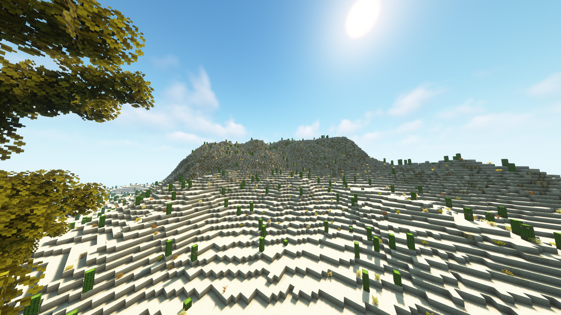 4000 by 4000 Map with Forests, Plains, and a Desert Minecraft Map