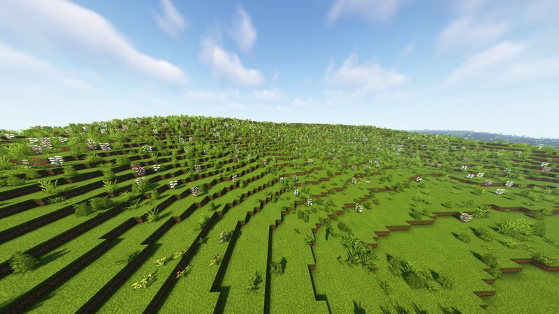 4000 by 4000 Map with Forests, Plains, and a Desert Minecraft Map