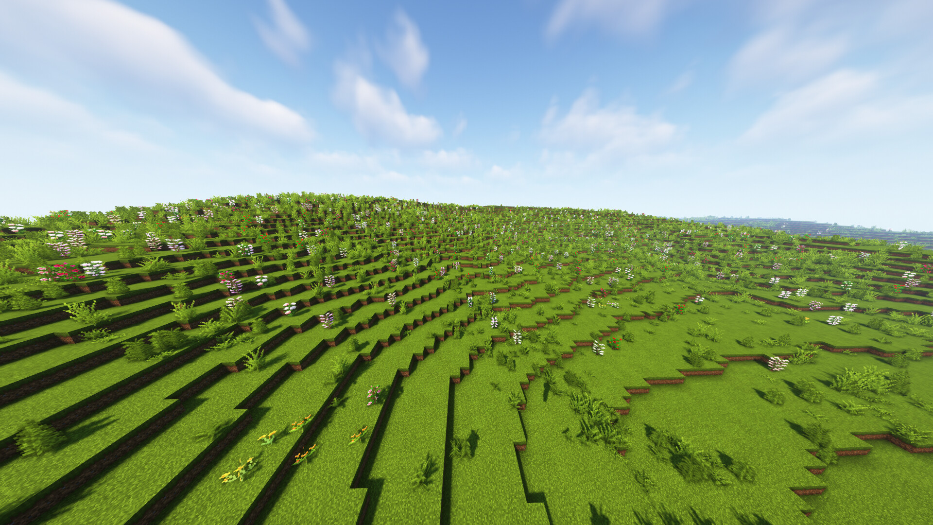 4000 by 4000 Map with Forests, Plains, and a Desert Minecraft Map