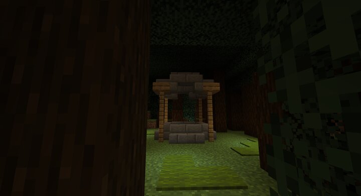 The Well Minecraft Map