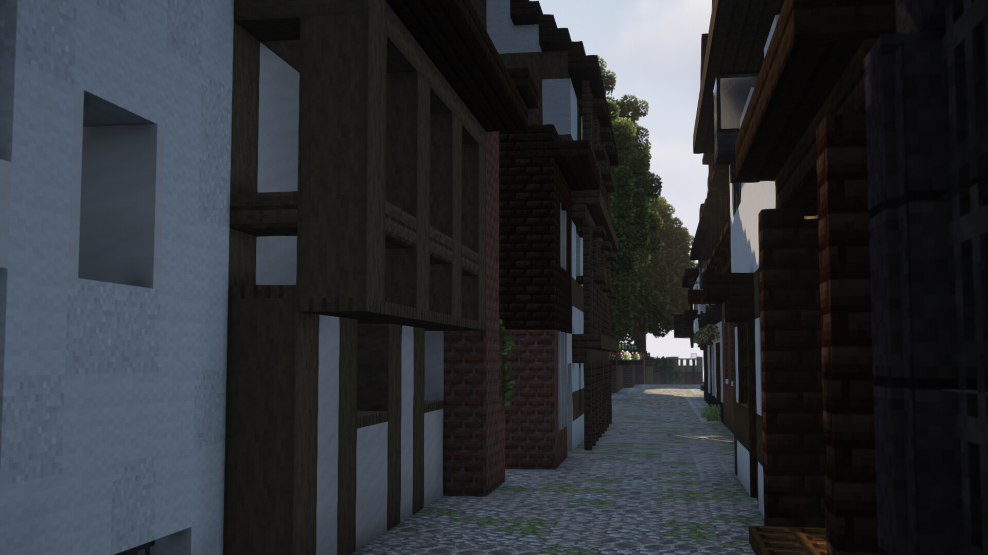 Raven Street Minecraft Map