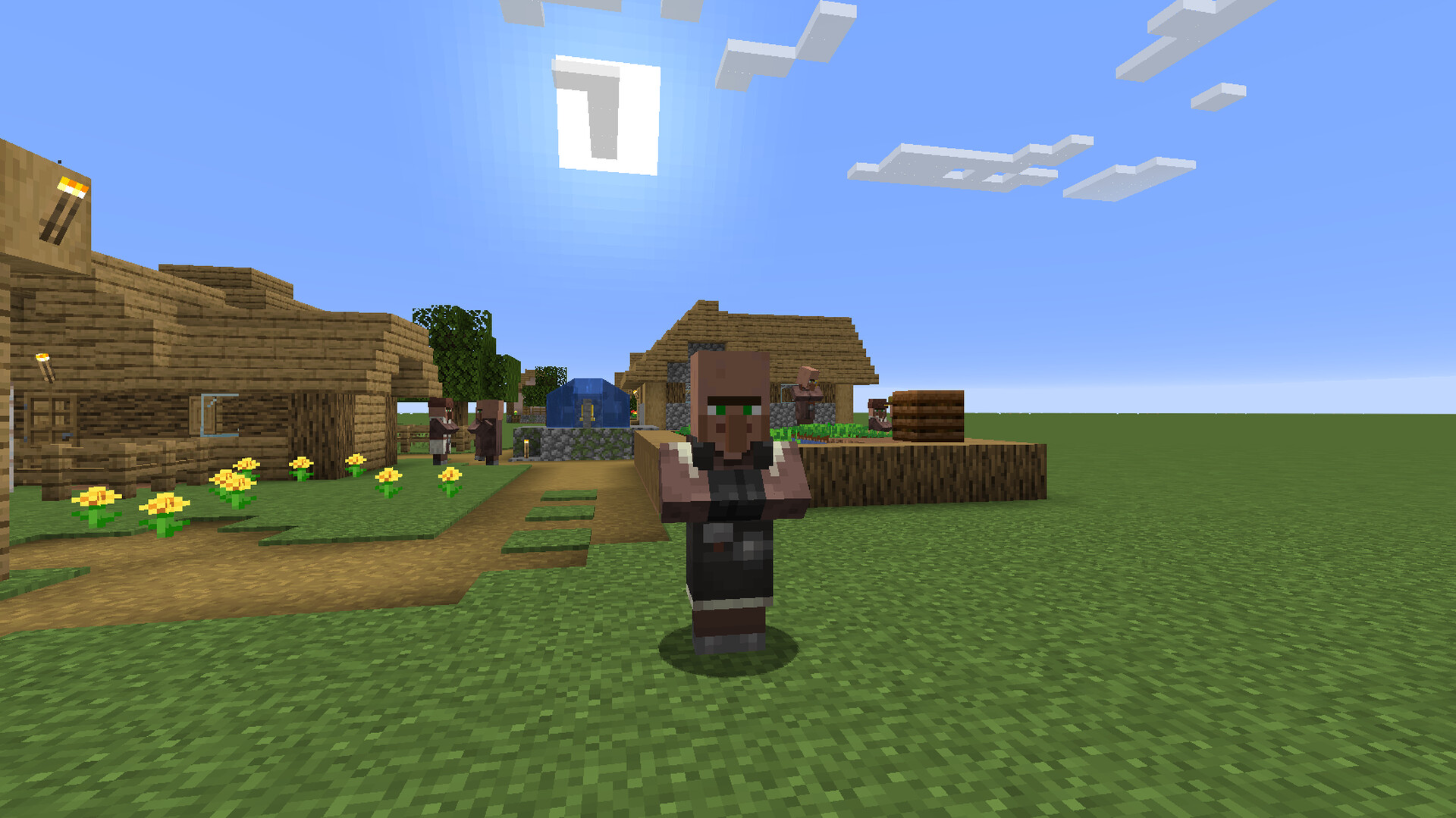 Villager WORLD! Minecraft Map