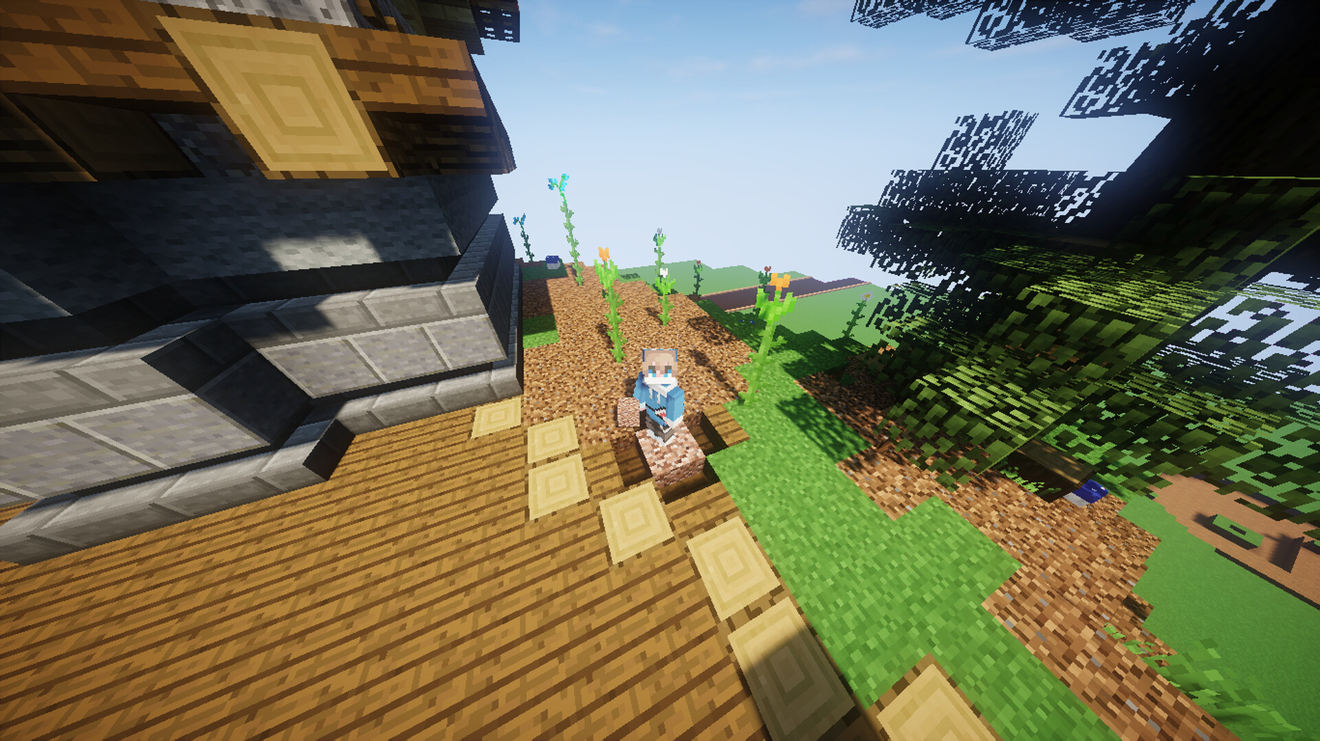 auth spawn Minecraft Map