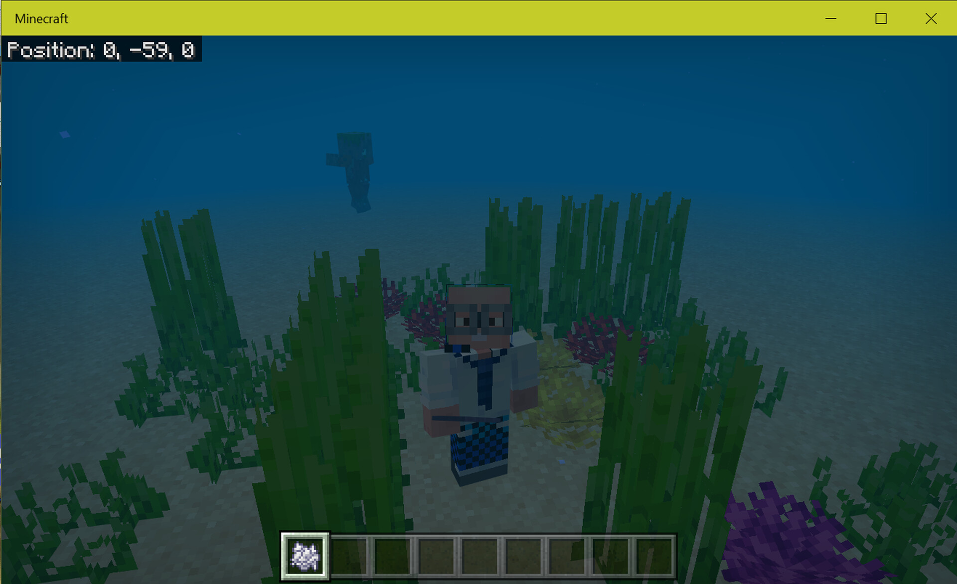 SuperFlat WaterWorld Minecraft Map