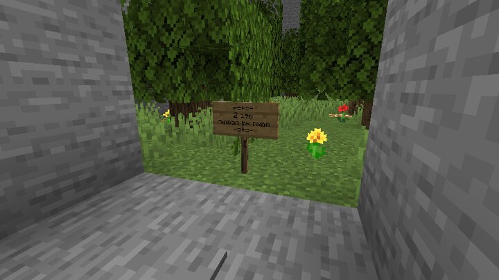 Cat map Minecraft Map