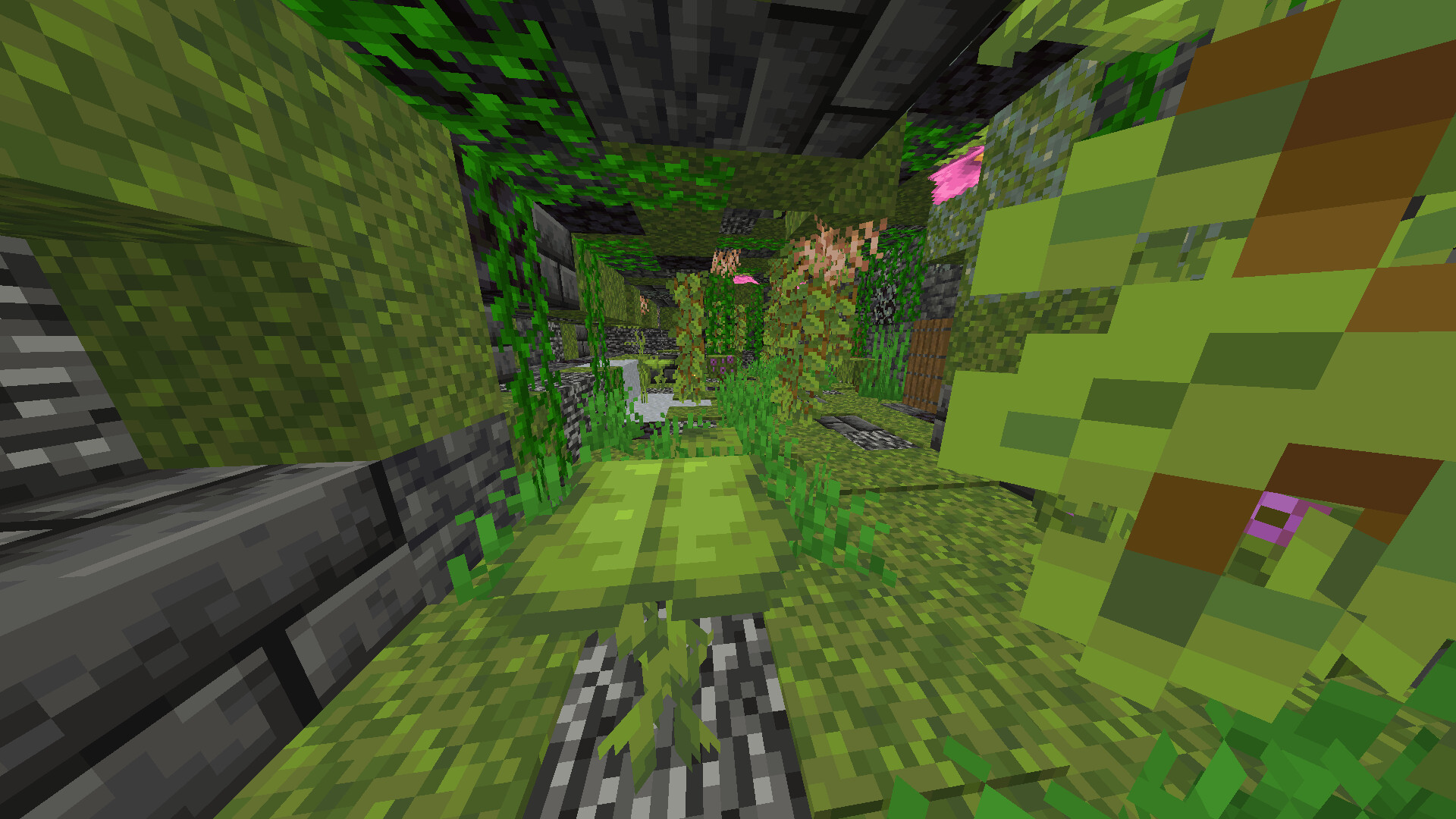 Catacomb infected by a lush cave Minecraft Map